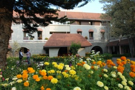 Opportunities | National Institute of Advanced Studies