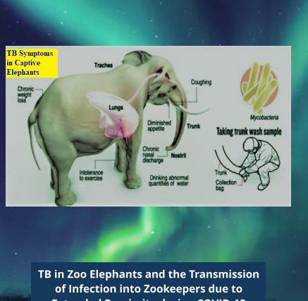 TB in Zoo Elephants and the Transmission of Infection into Zookeepers ...